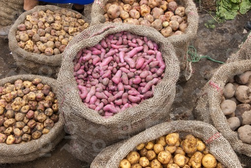 fotocolombia.com | Banco de fotos de Colombia